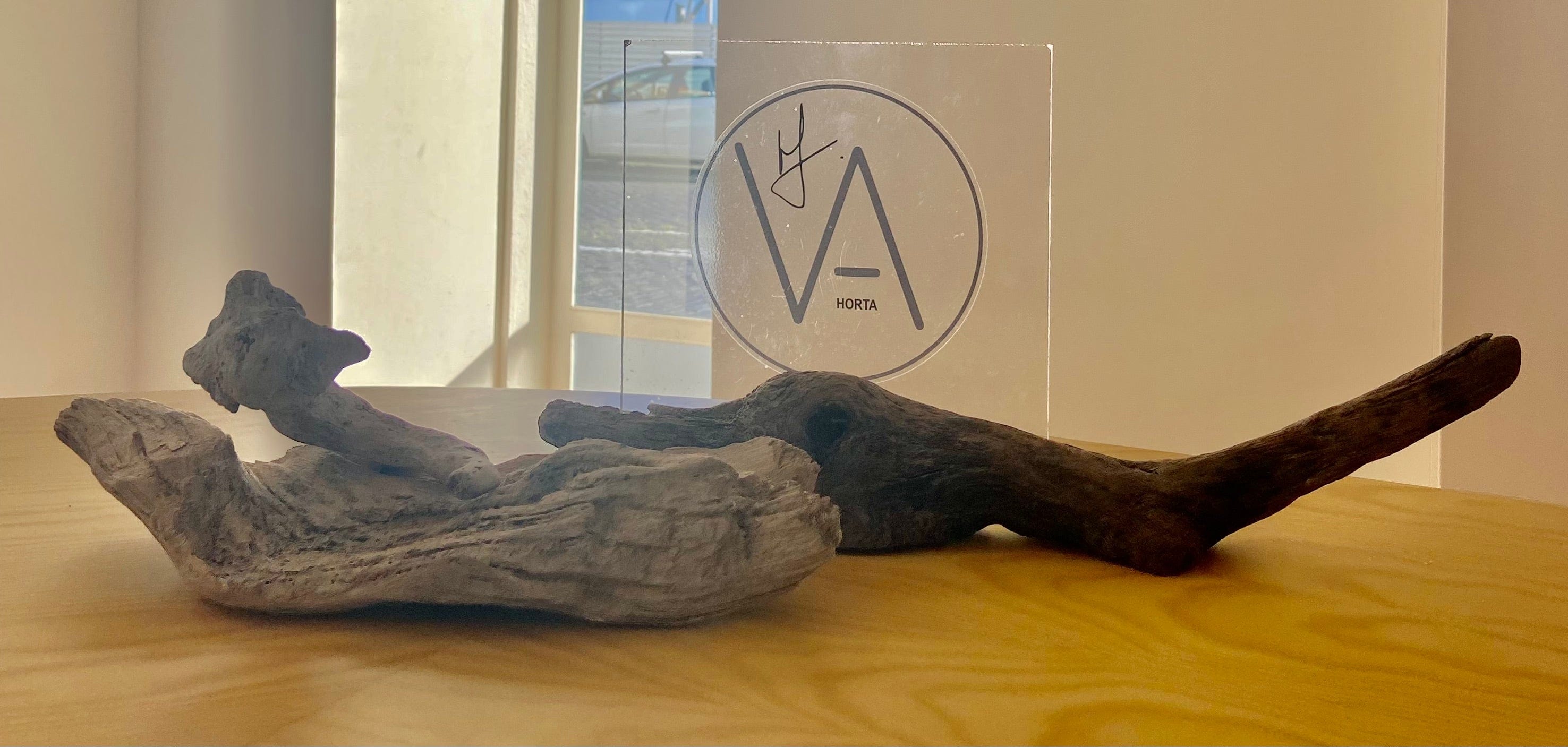 THE CAT – VA STORE Online